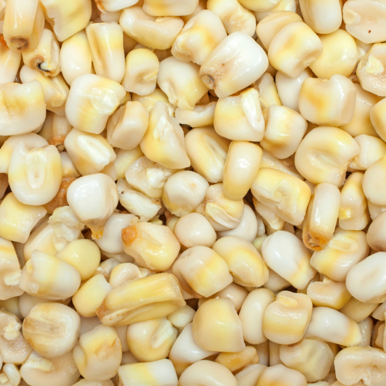 Maizal Tortilleria - 100% Nixtamal – Food you know and trust.